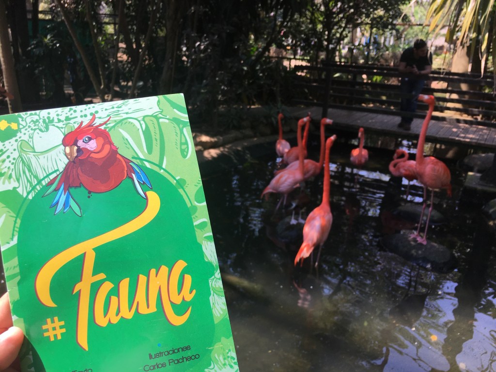 David Montiel – Escritor tabasqueño y modelo de sonrisa – Paseo Tabasco